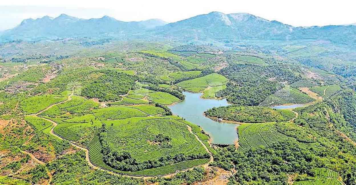 The tale of many 'cities' in Idukki | Travel | Manorama English