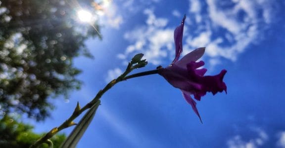 Vanaparvam, where nature is mystical and alluring | Travel | Onmanorama