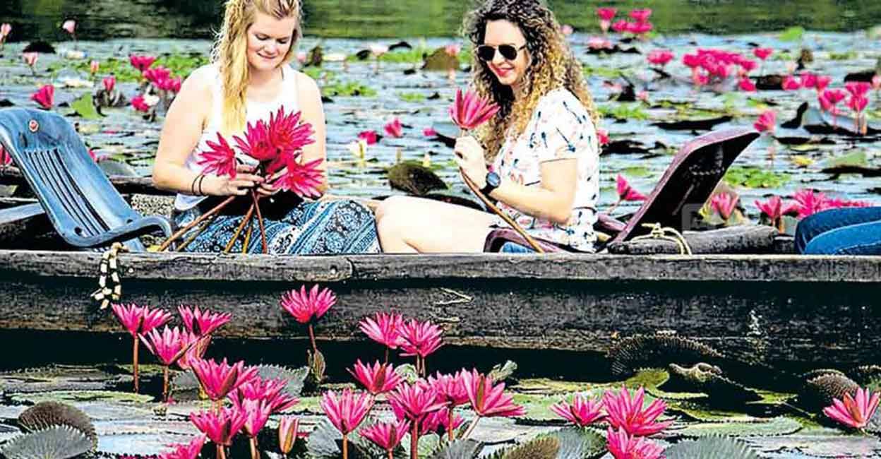 Aymanam grabs top international tourism award