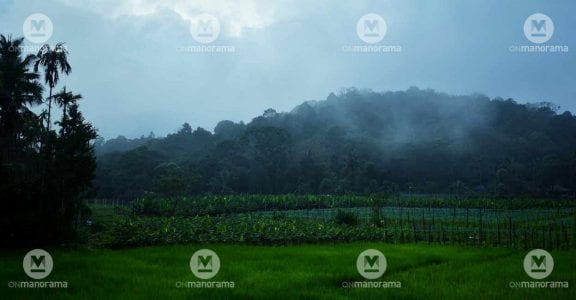 A journey to Churuli village through the forests of Wayanad | Travel ...