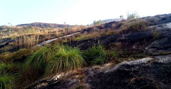 Sunrise takes a different hue at the enchanting Cheengeri Hills ...