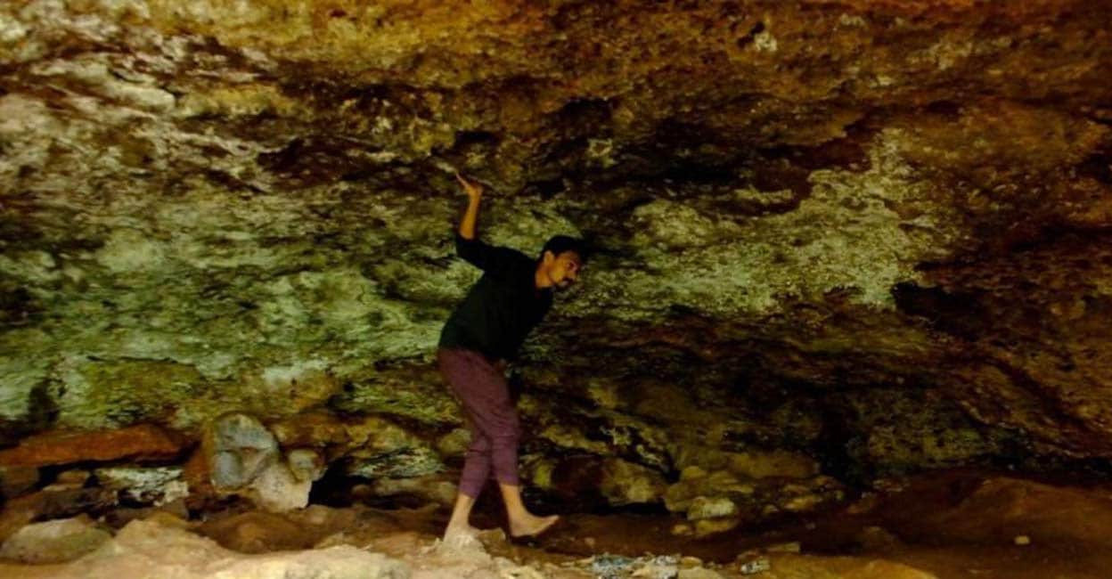 Magical, giant trees and fountains: Kochi's secret cave sanctuary