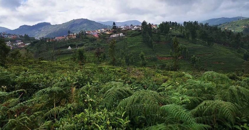 Scenic Manjur will give Ooty a run for its money