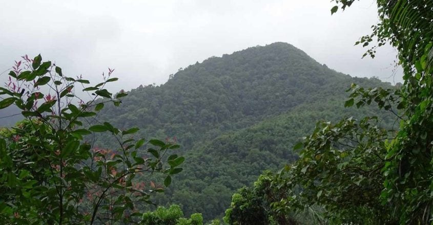 Malom – the Coorg of Kerala where tradition intertwines with religious ...