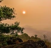 Chala market: A one-stop street in Thiruvananthapuram for the ...