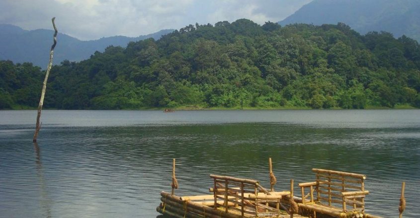 Literally walk on the wild side of Chimmini and be with nature