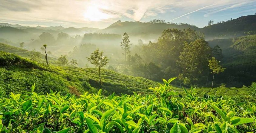 A Munnar ride away from the beaten track
