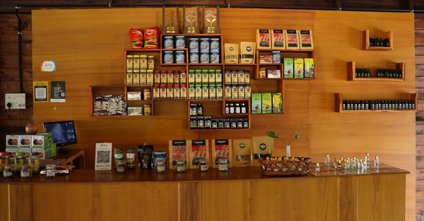 Wayanad plantations wake up to adventure tourism possibilities | Travel ...