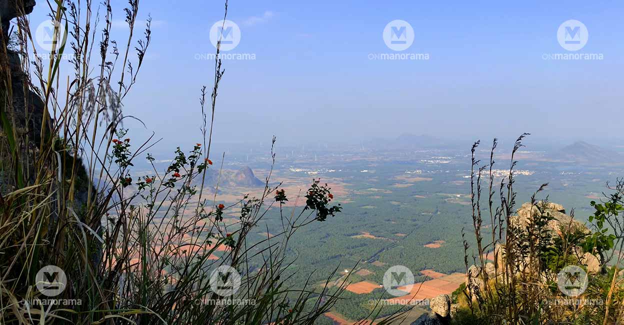 Temporary police aid post at Ramakkalmedu to oversee New Year ...