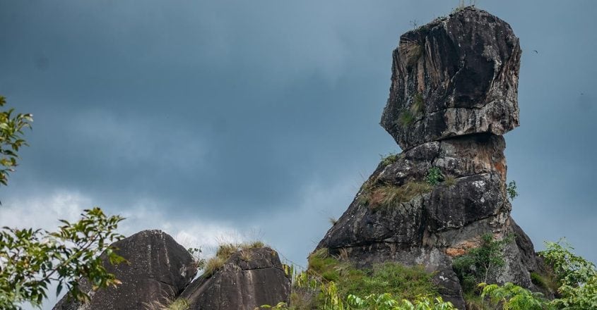 Exploring Wayanad, the haven of history, heritage and eco-tourism spots