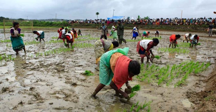 Rainspotting in Kerala: Wayanad to resume 'Splash' monsoon carnival ...