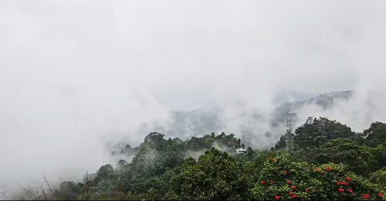 Misty slopes of Munnar beckoning this monsoon | Kerala destinations ...