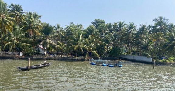 Rustic Perumbalam island all set to be a women-friendly tourism hub ...