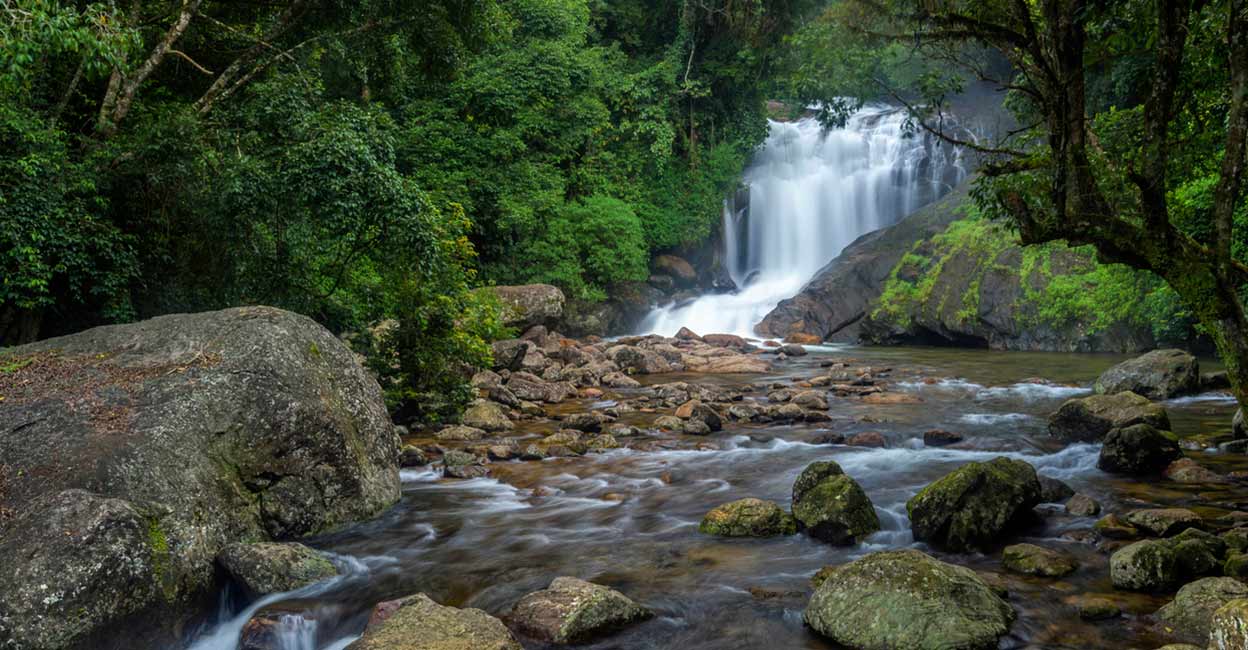 Independence Day weekend trip in Kerala: Avoid crowds, check out these ... Independence Day weekend trip in Kerala: Avoid crowds, check out these ...