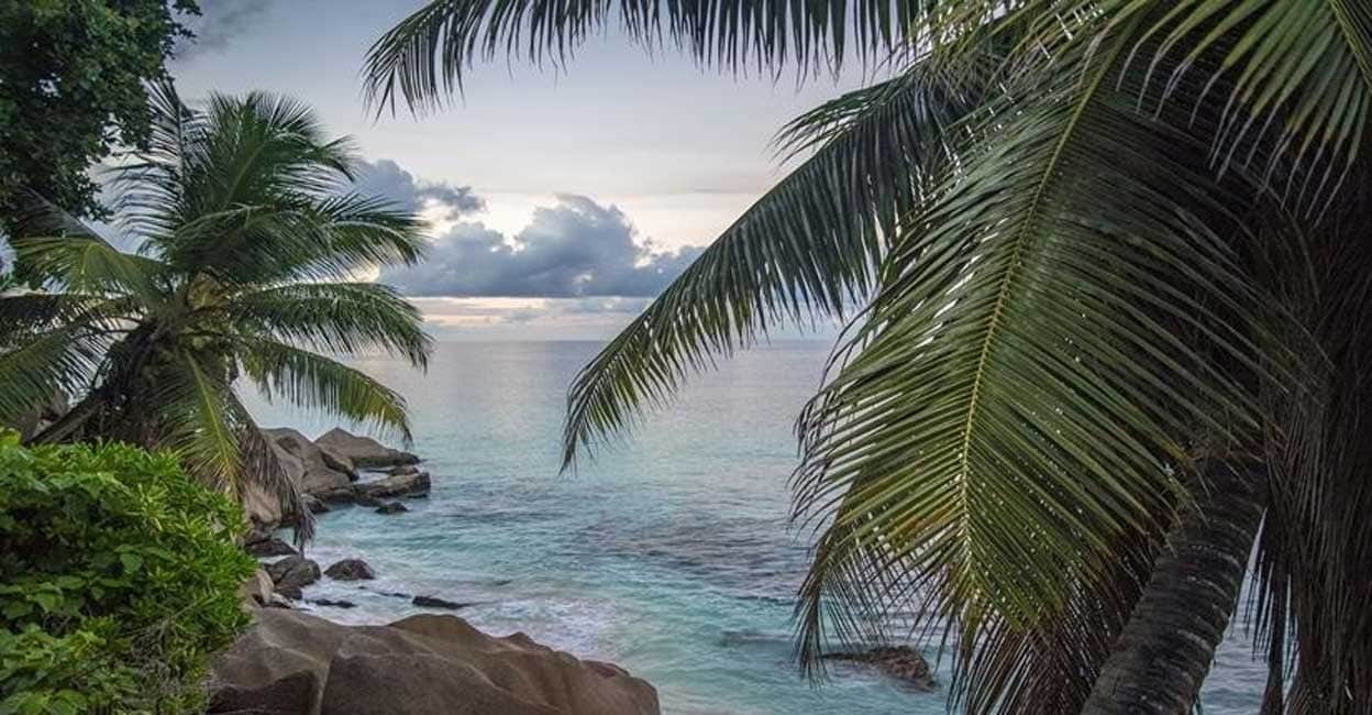 Top romantic activities to do in the Seychelles | Travel | Manorama English