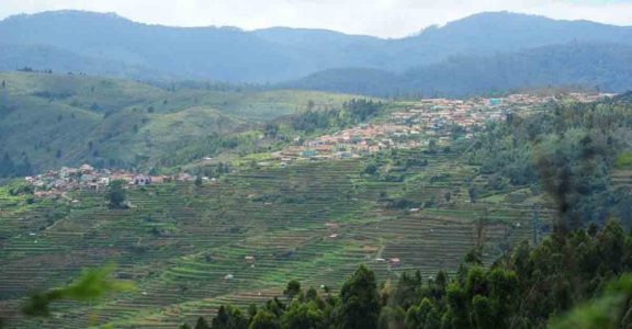 Polur: Kodaikanal’s little known beauty | Onmanorama Travel