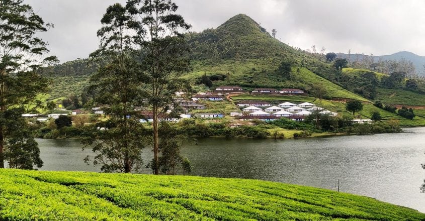 A drive from Thekkady to Meghamalai can be as enchanting as ever