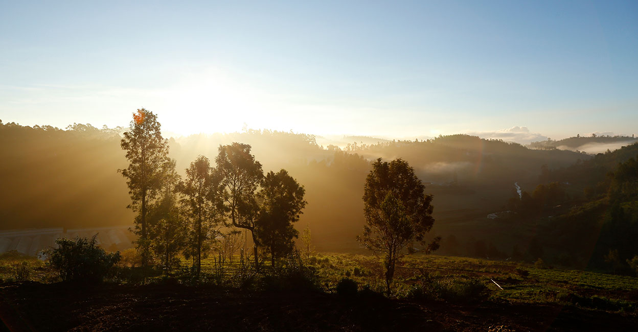 Head to Tamil Nadu’s Ketti Valley to get a feel of Switzerland