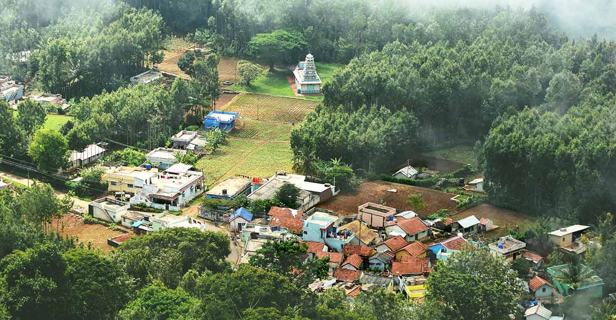 Irresistible Yercaud should be on your travel bucket list this summer