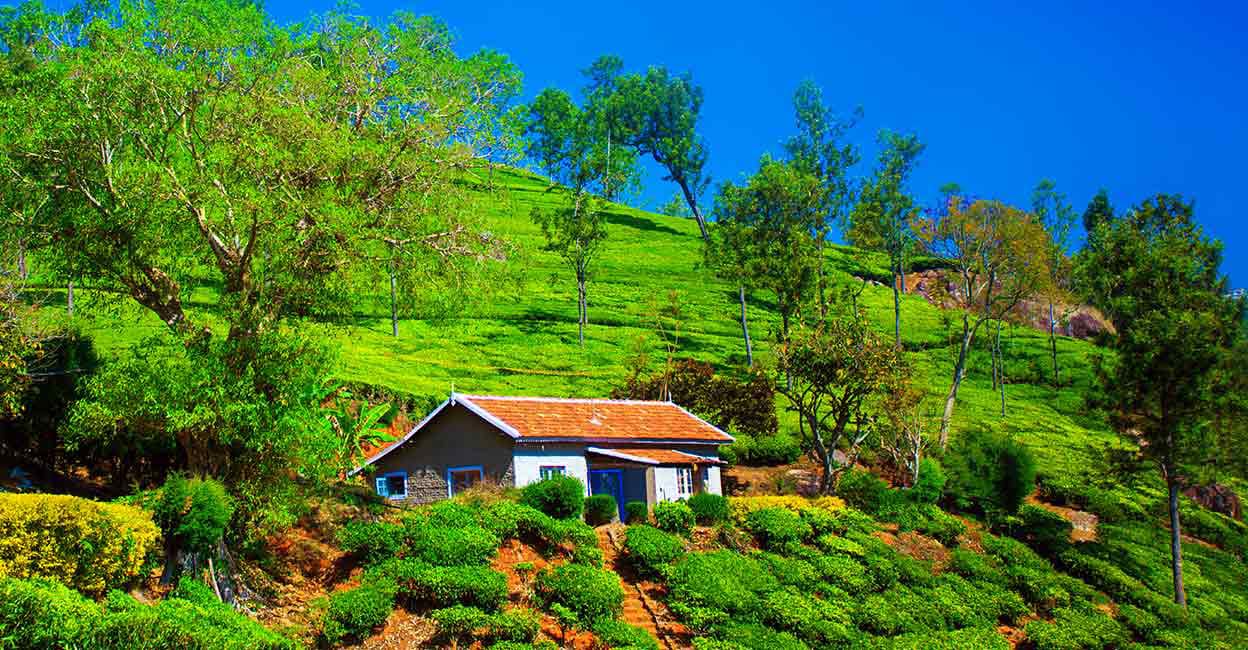 Here’s why you should plan your next trip to Coonoor