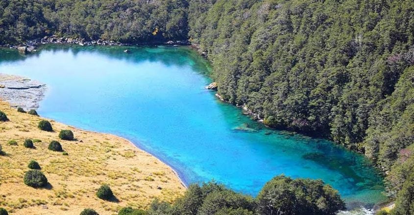 New Zealand's renowned 'Blue Lake': Here's why visitors are not ...