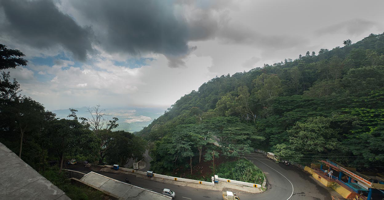 TN’s Yercaud is one of the best hill stations to unwind and chill out ...
