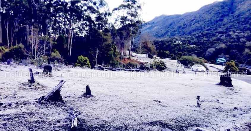 Believe us! These photos are from Kerala's frost-covered Munnar