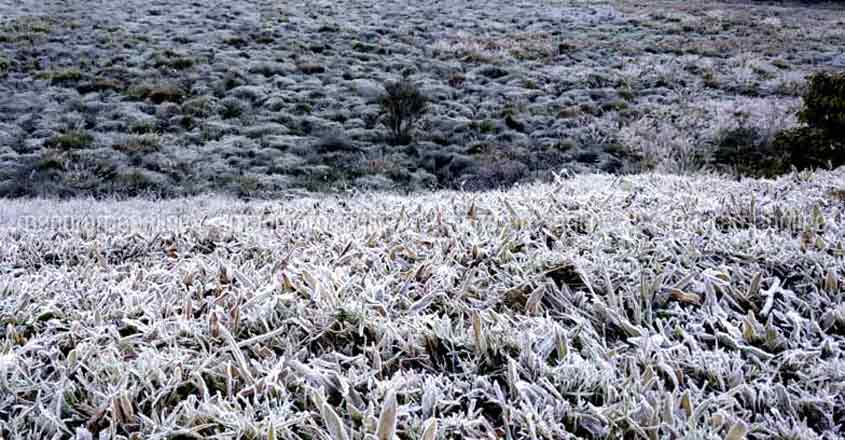 Believe us! These photos are from Kerala's frost-covered Munnar