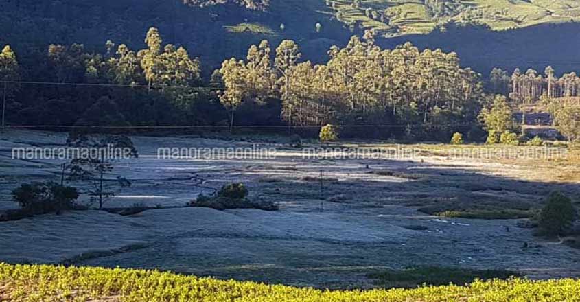Believe us! These photos are from Kerala's frost-covered Munnar