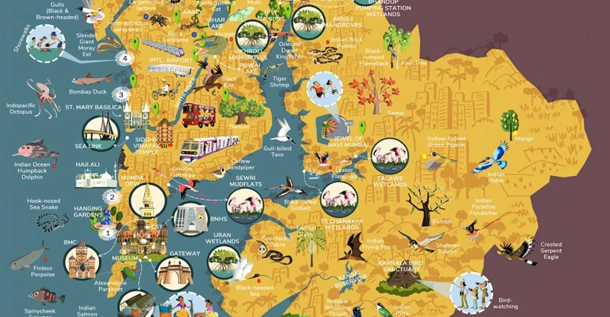 Mumbai's biodiversity map is now interactive | Travel | Manorama English