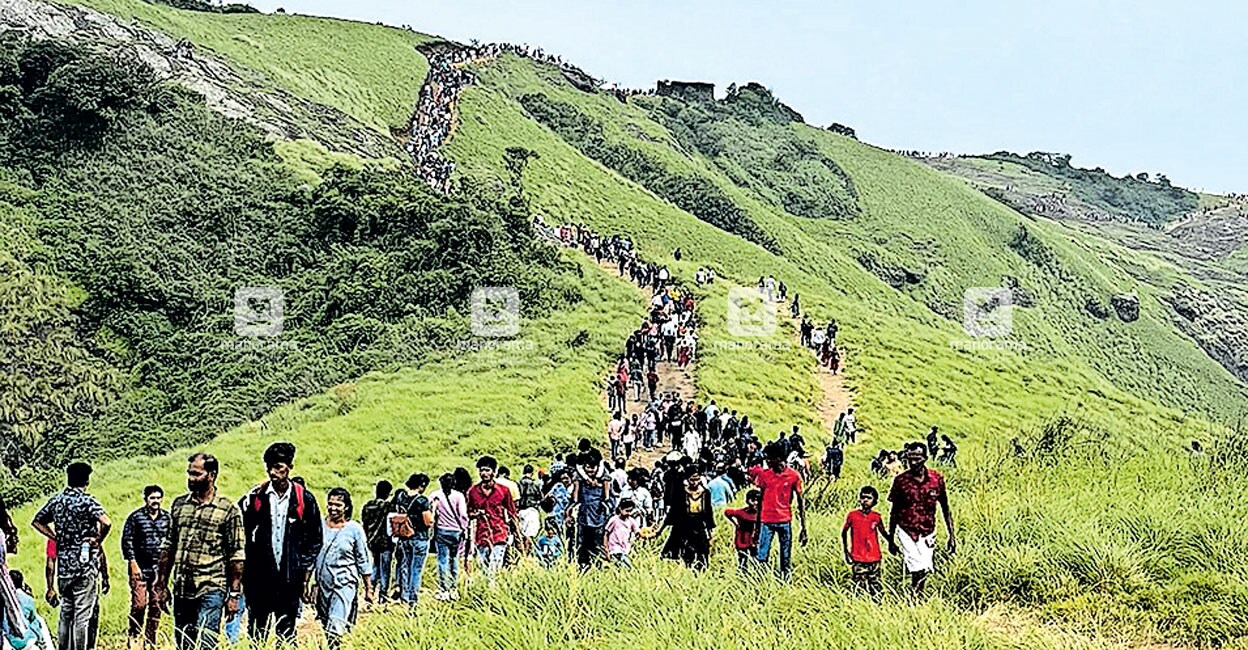 Neelakurinji flowers bring a windfall for KSRTC, panchayat during long ...