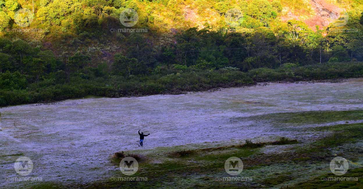 Sub-zero temperatures brings frost in Munnar's meadows; but destroys ...