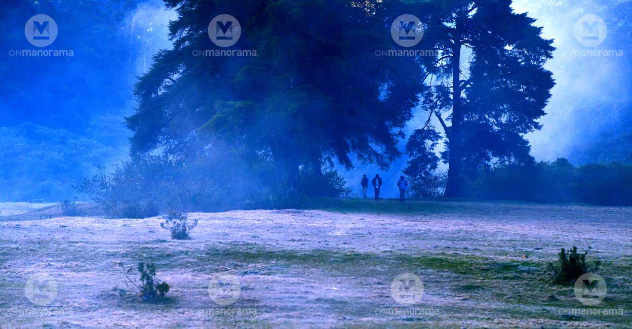 Sub-zero temperatures brings frost in Munnar's meadows; but destroys ...