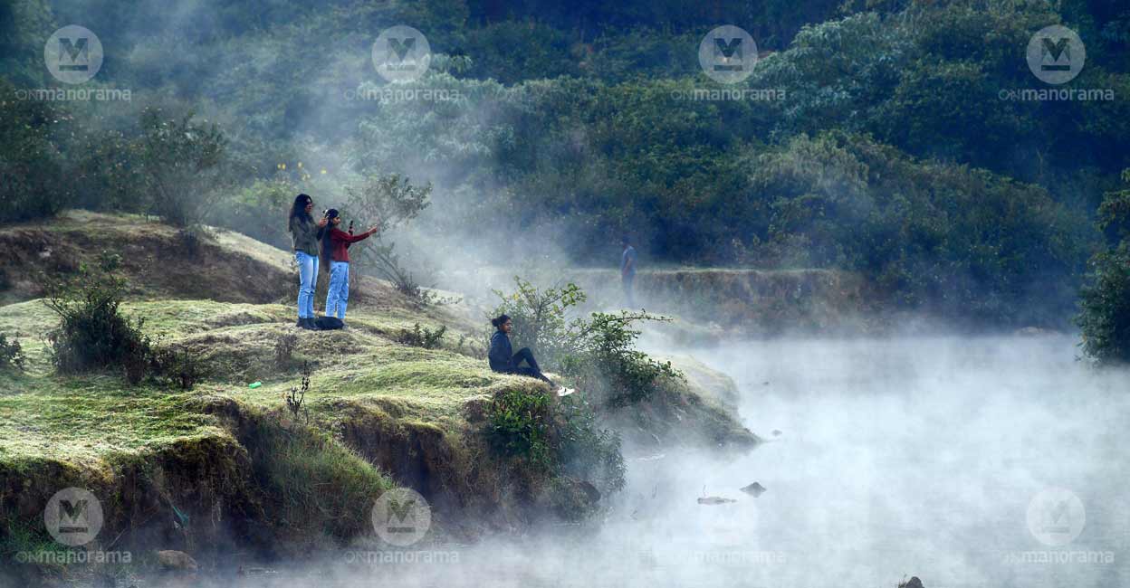 Sub-zero temperatures brings frost in Munnar's meadows; but destroys ...