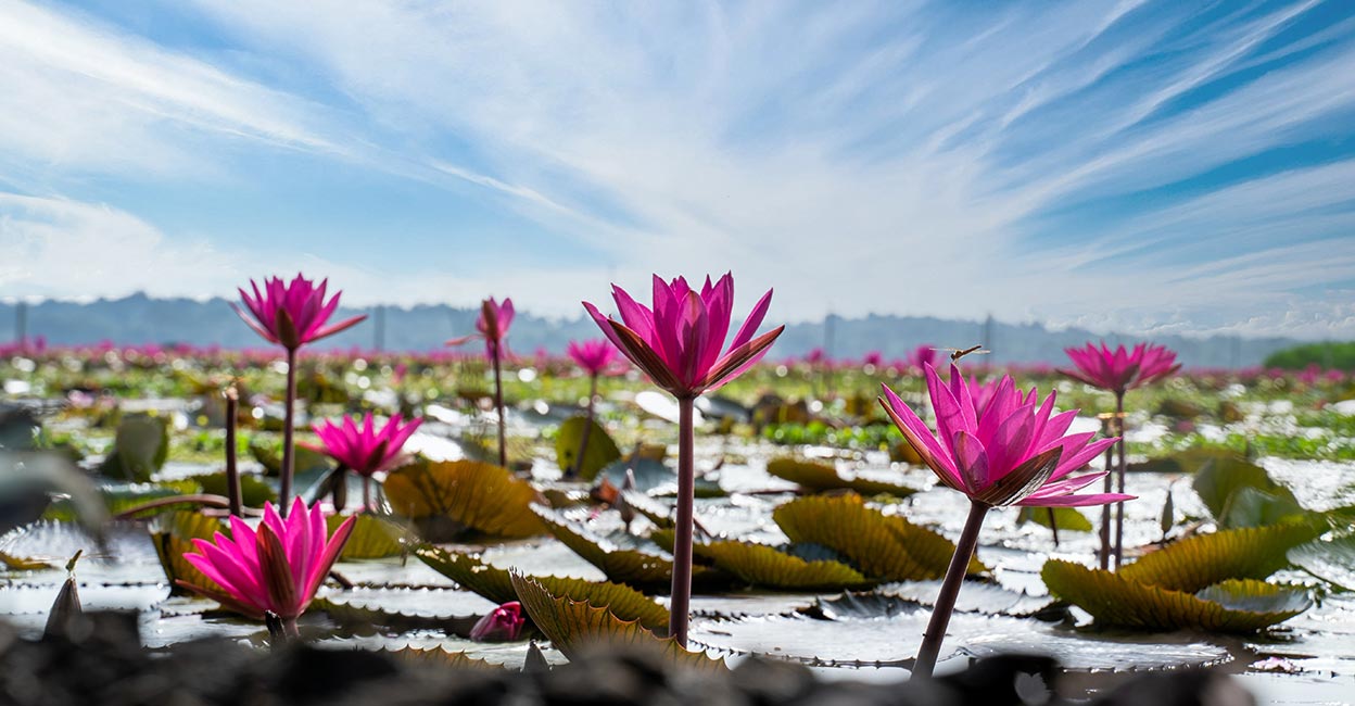 KTDC’s monsoon tour packages promise amazing offers | Travel | Onmanorama