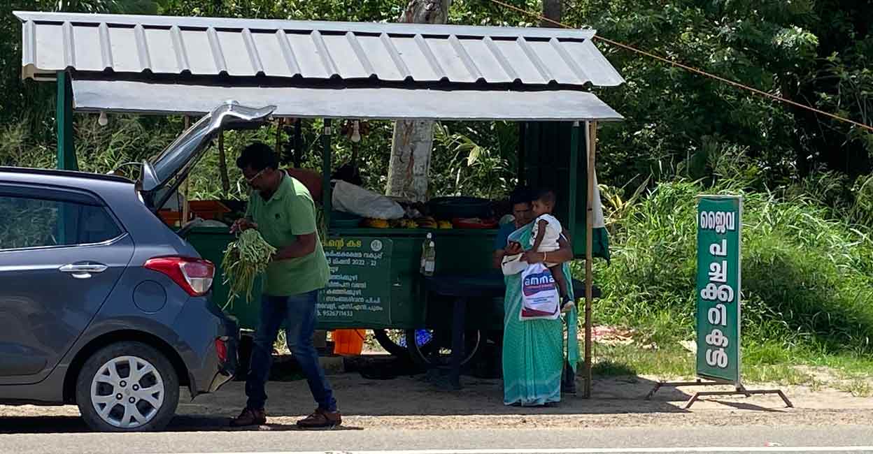 This Onam, Pookalams await blooms from Alappuzha's flower growers