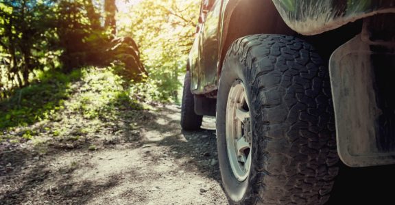 Off – road trekking banned in Kerala's Vagamon: Here's why | Travel ...