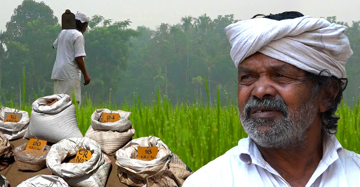 Kerala tribal man saves 60 native paddy varieties
