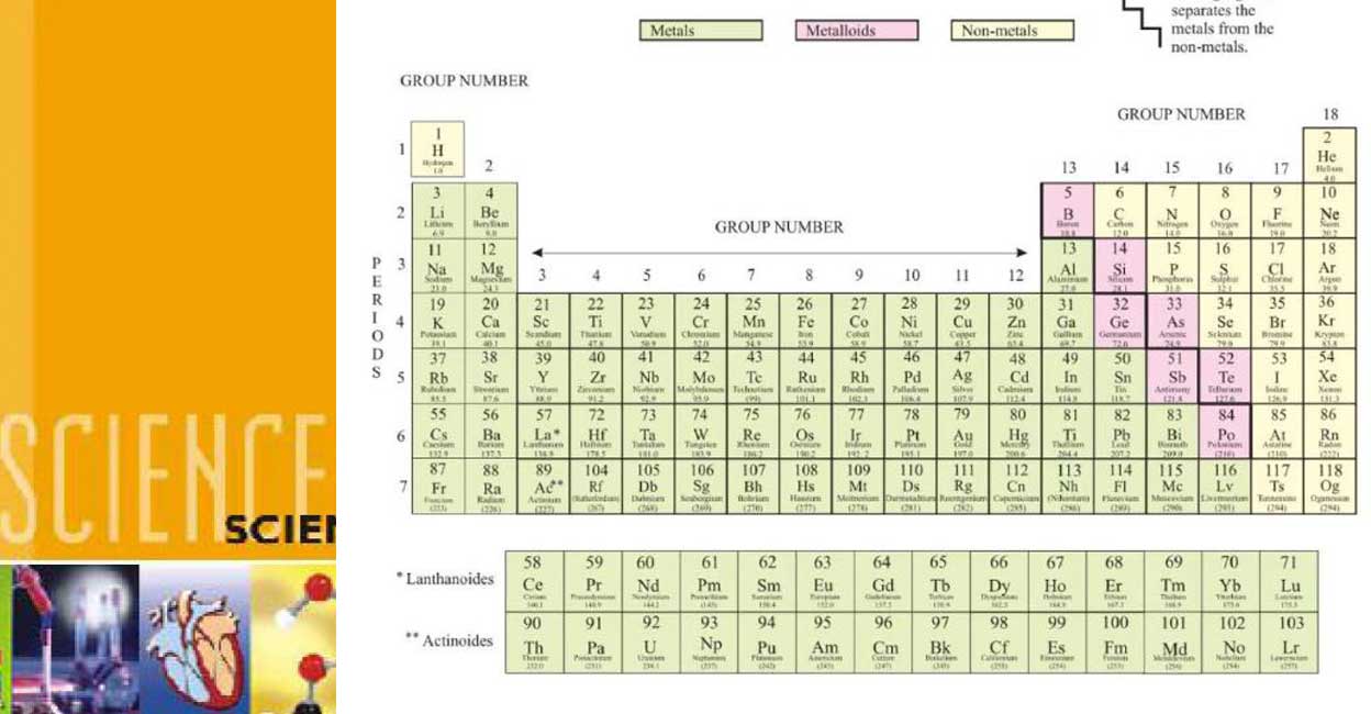 Periodic table & democracy dropped from NCERT Class 10 books