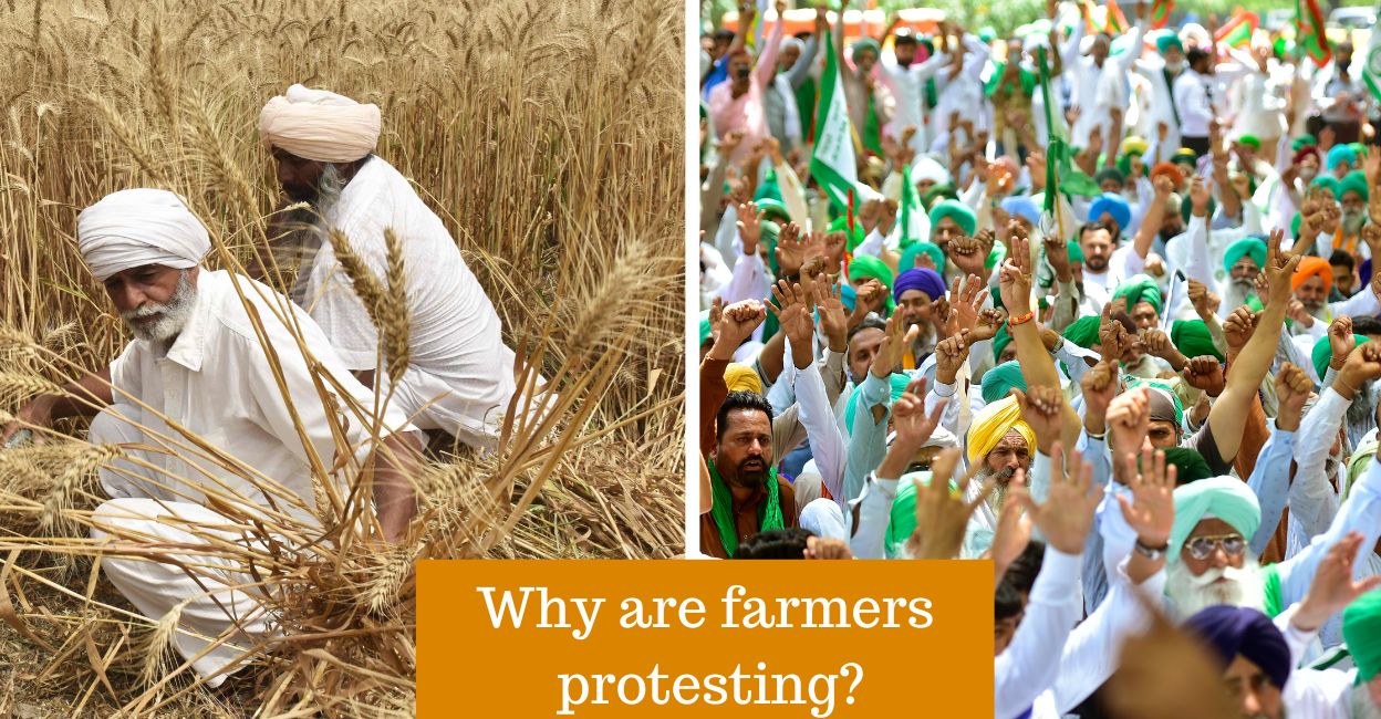 Why Farmers Are Protesting: Understanding the Key Demands | Videos ...