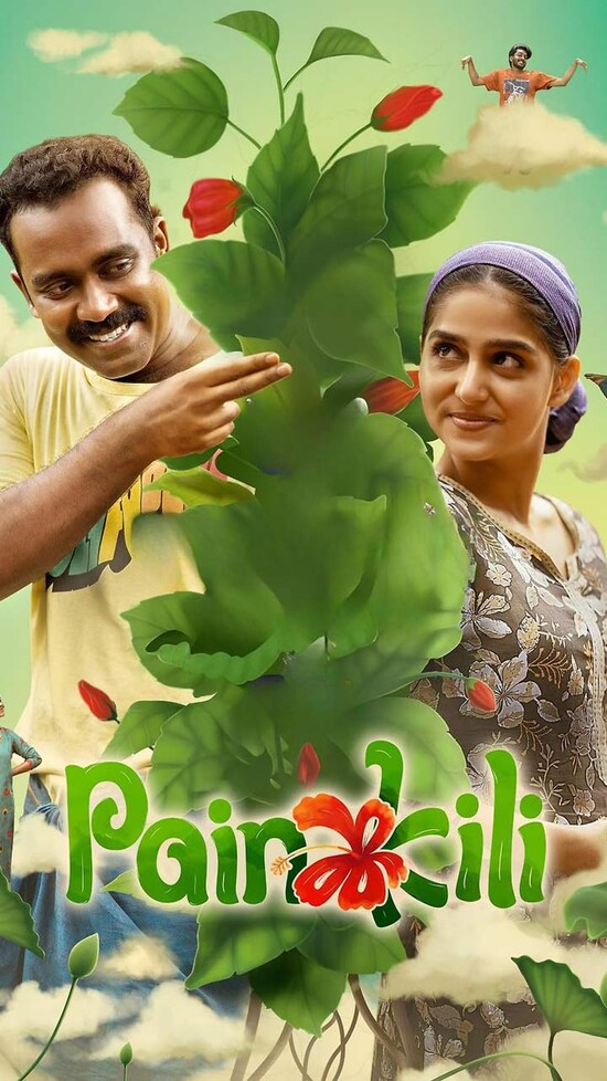 Visual Stories | AMP Stories | Web Stories | English Manorama | Onmanorama