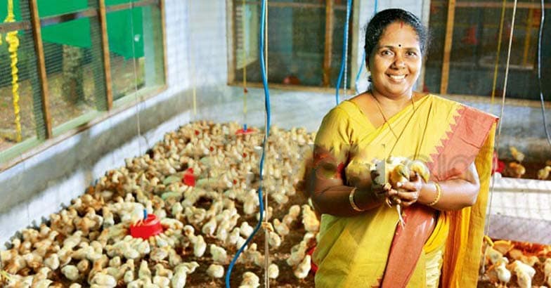 How Bindu mints money with poultry is a lesson for all entrepreneurs ...