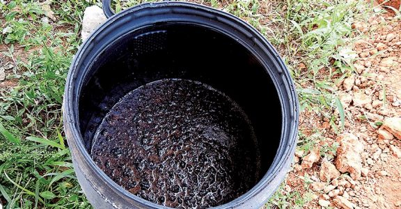 Entrepreneur Maheswary uses fish as manure | Business Women | Kerala ...